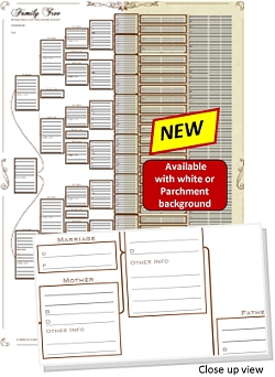 Eight Generation Pedigree Chart
