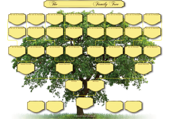 A3 Blank Family Tree Charts