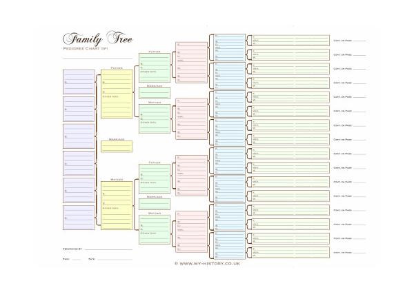 Compact Family Tree Charts Pack