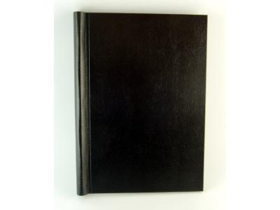 Springback Binder - Plain