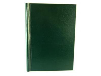 Springback Binder - Plain