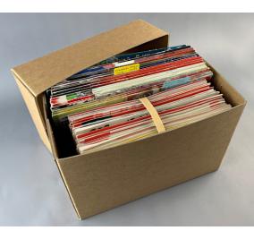 10" Deep Archive Box and lid (brown)